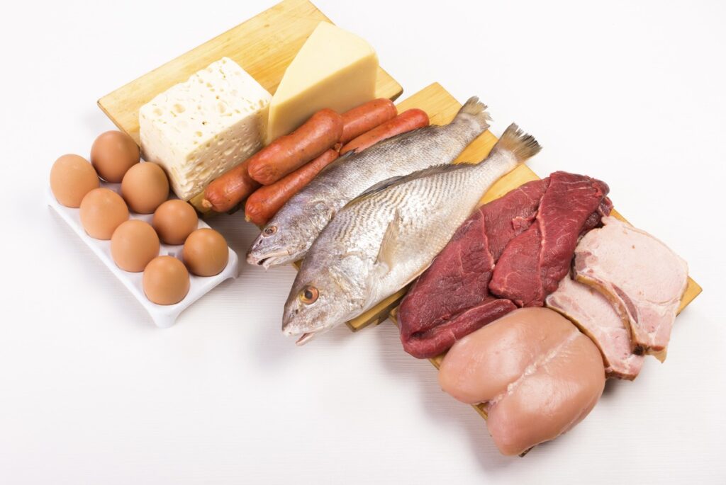 How Much Protein Can Your Body Absorb in One Meal - Claudias Concept