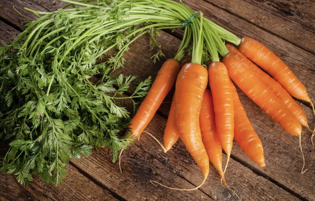 Do Carrots Help You See at Night? The Truth Behind Popular Food Myths ...