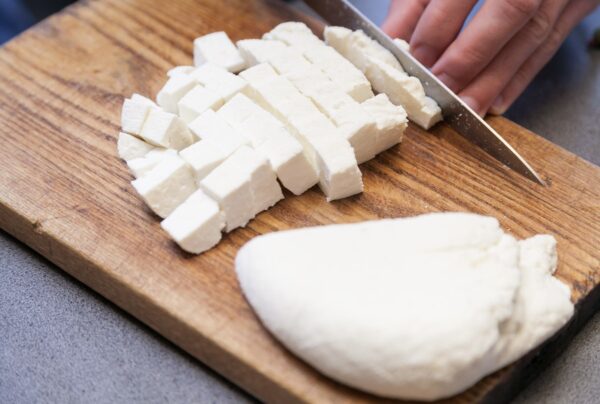 Cow Milk vs Buffalo Milk Paneer: Which One Is Better? Celebrity ...